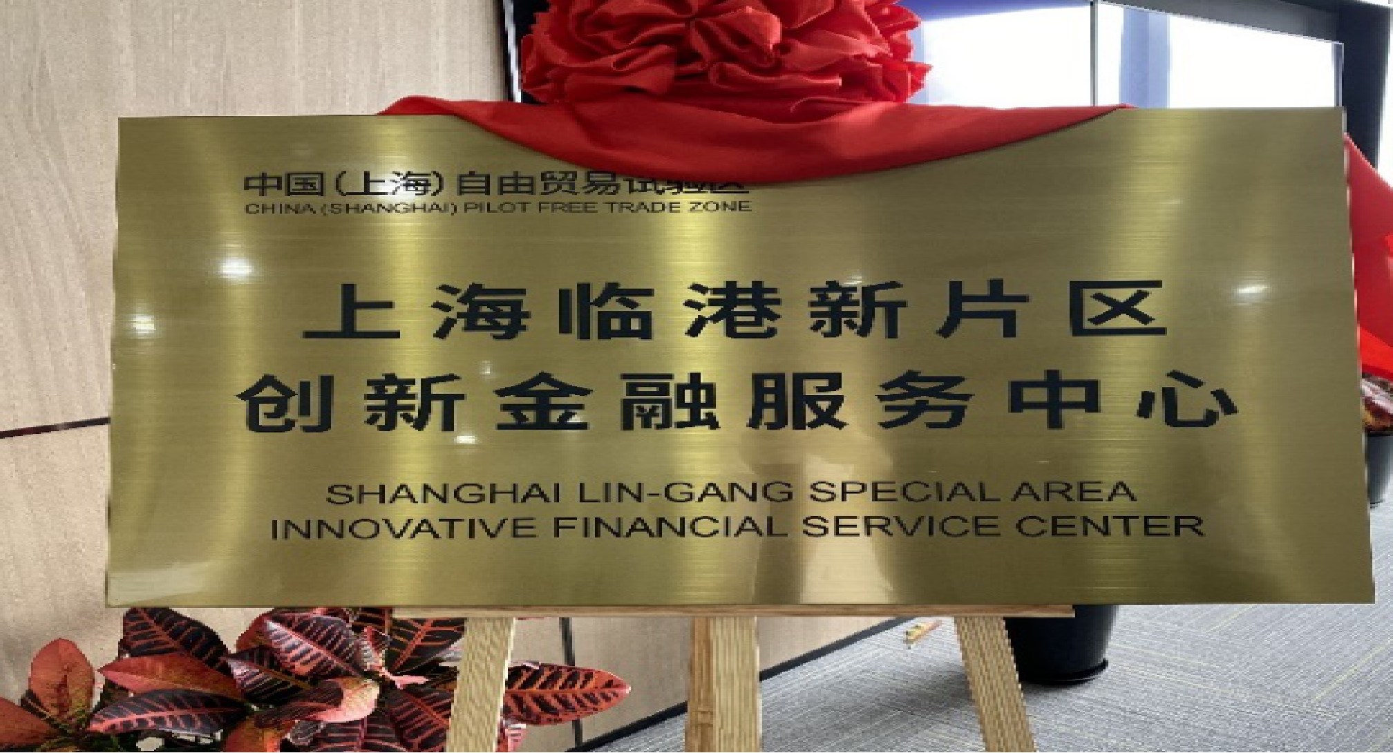 Lingang Group
